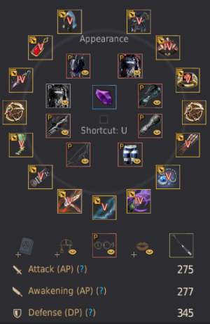 Black Desert Online Türkiye/MENA Bölgesi BDO EU hesap/Sınırsız HP pot