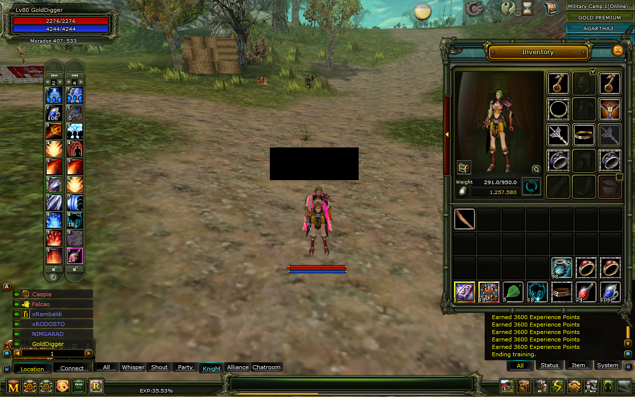 Knight Online Agartha Agartha 80 Level % 35 Human Mage