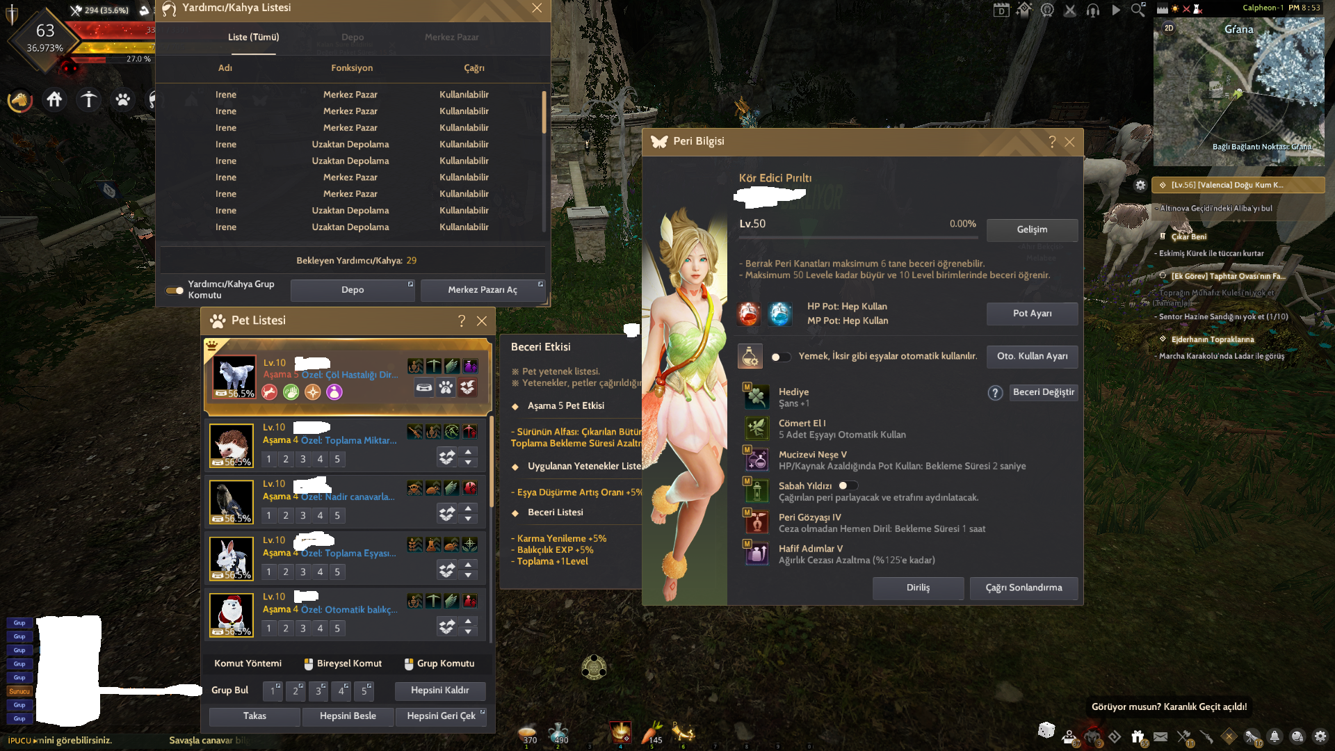 Black Desert Online Türkiye/MENA Bölgesi Pusula P2W Tam 290 Ap 63.5 S