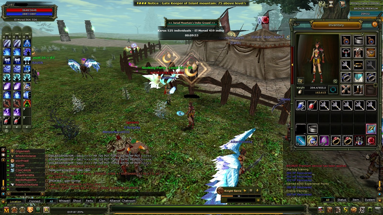 Knight Online Zero 81 Lvl % 82 Human Mage