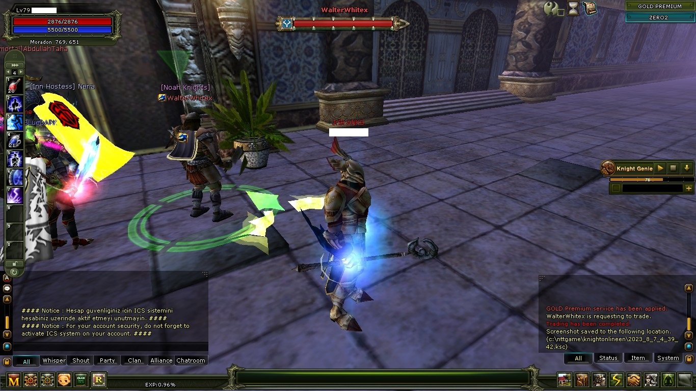 Knight Online Zero 79 Lvl Human Mage