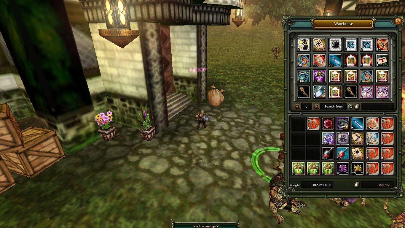 Knight Online Zero human priest resimlerle bedavaya