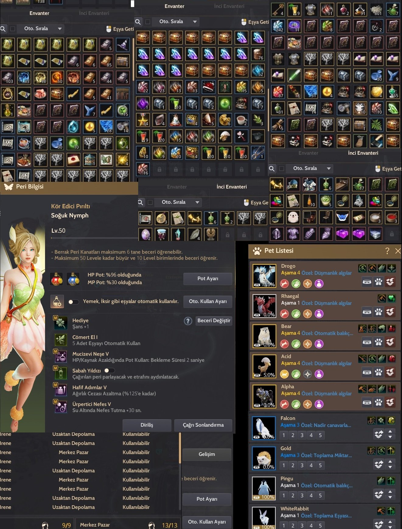 Black Desert Online Türkiye/MENA Bölgesi BDO Client Hesabı