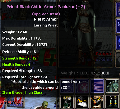 Knight PVP ProfessionalKO Priest Black Chitin 7 (pauld,helm,boots,pads