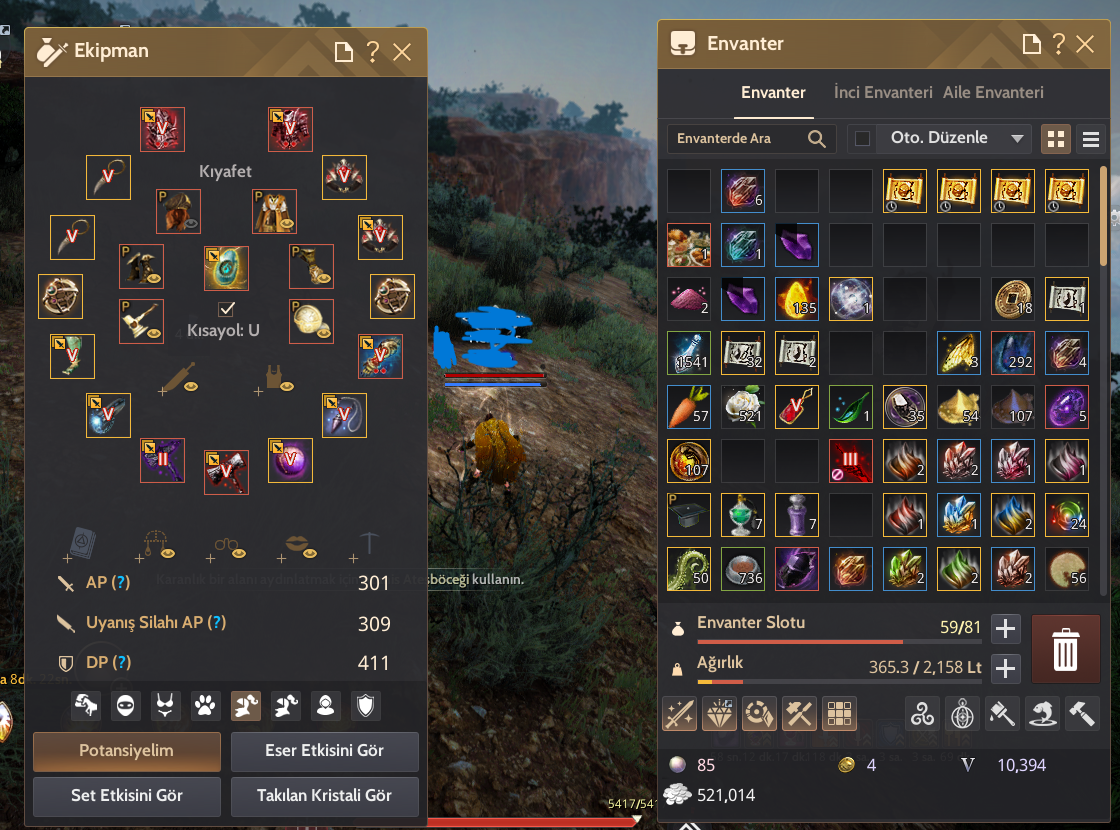 Black Desert Online Türkiye/MENA Bölgesi 309 Ap 411 Dp P2w Hesap