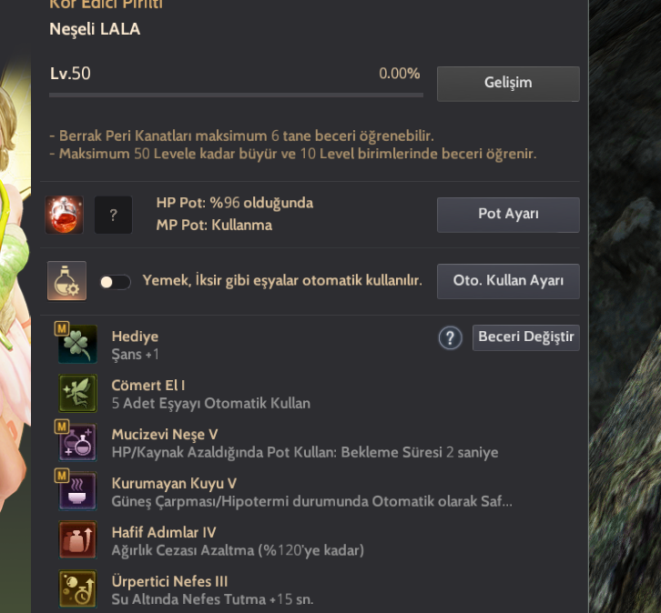 Black Desert Online Türkiye/MENA Bölgesi 61 bucuk lvl guardian client