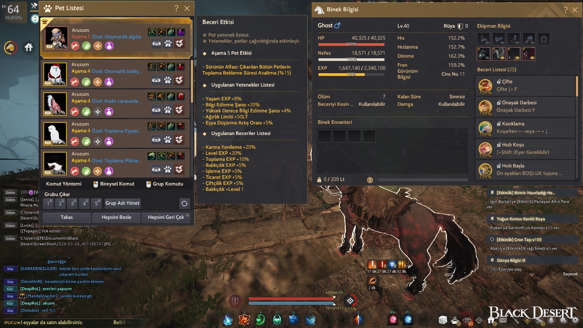 Black Desert Online Türkiye/MENA Bölgesi TET DEBO SET ÇİFT PEN BS 720