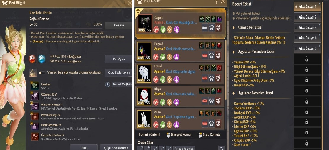 Black Desert Online Türkiye/MENA Bölgesi SINIRSIZ HP POT MANA POT SEZ