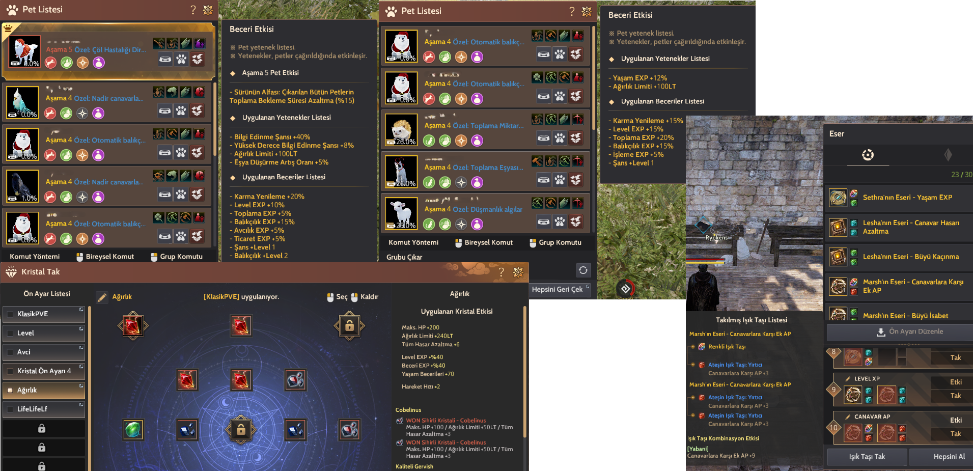 Black Desert Online Türkiye/MENA Bölgesi 290AP SINIRSIZ HP - MP POTLU