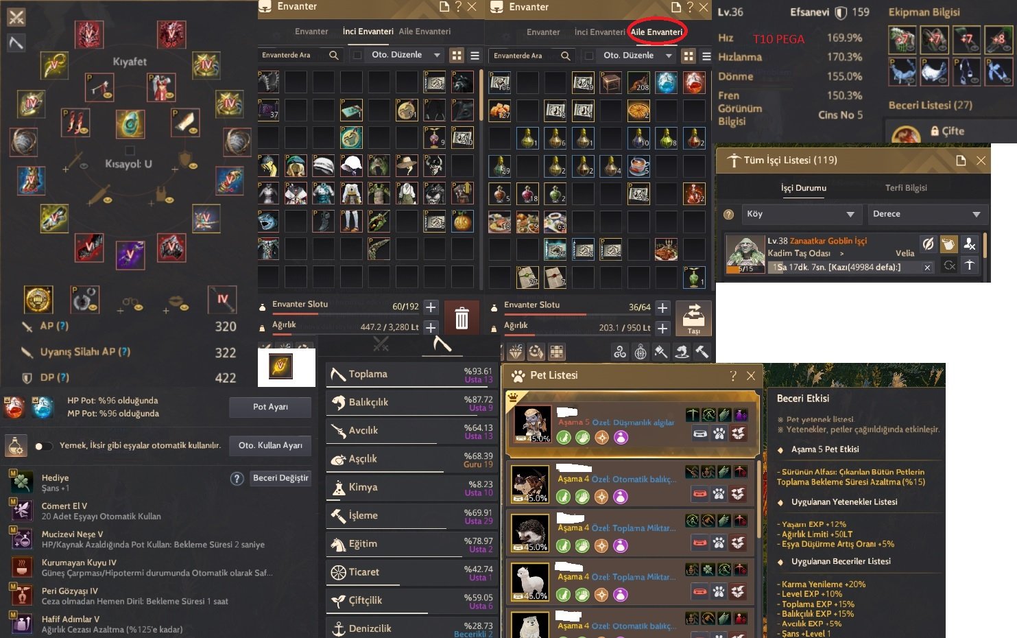 Black Desert Online Türkiye/MENA Bölgesi 2x pen debo 5 debo set, T10