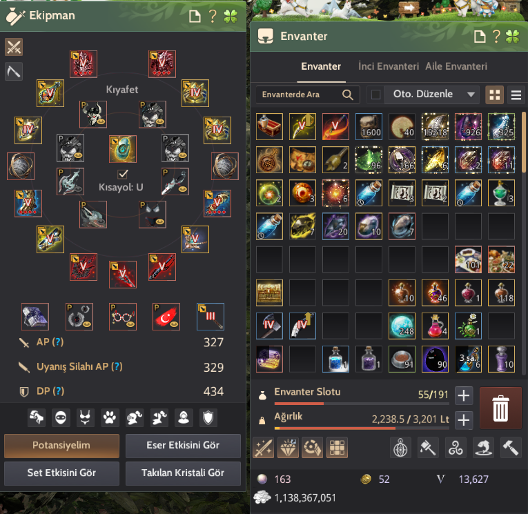 Black Desert Online Türkiye/MENA Bölgesi FULL P2W CHAR 763 GS