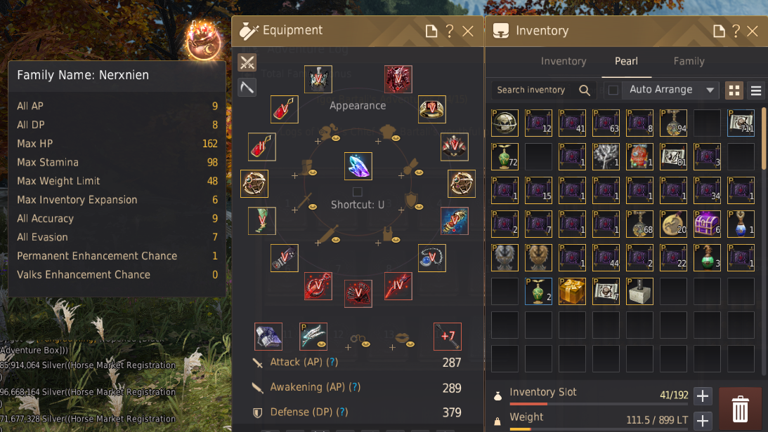 Black Desert Online EU Bölgesi 289AP/379DP/2 PEN BS/ HP POT /MP POT/