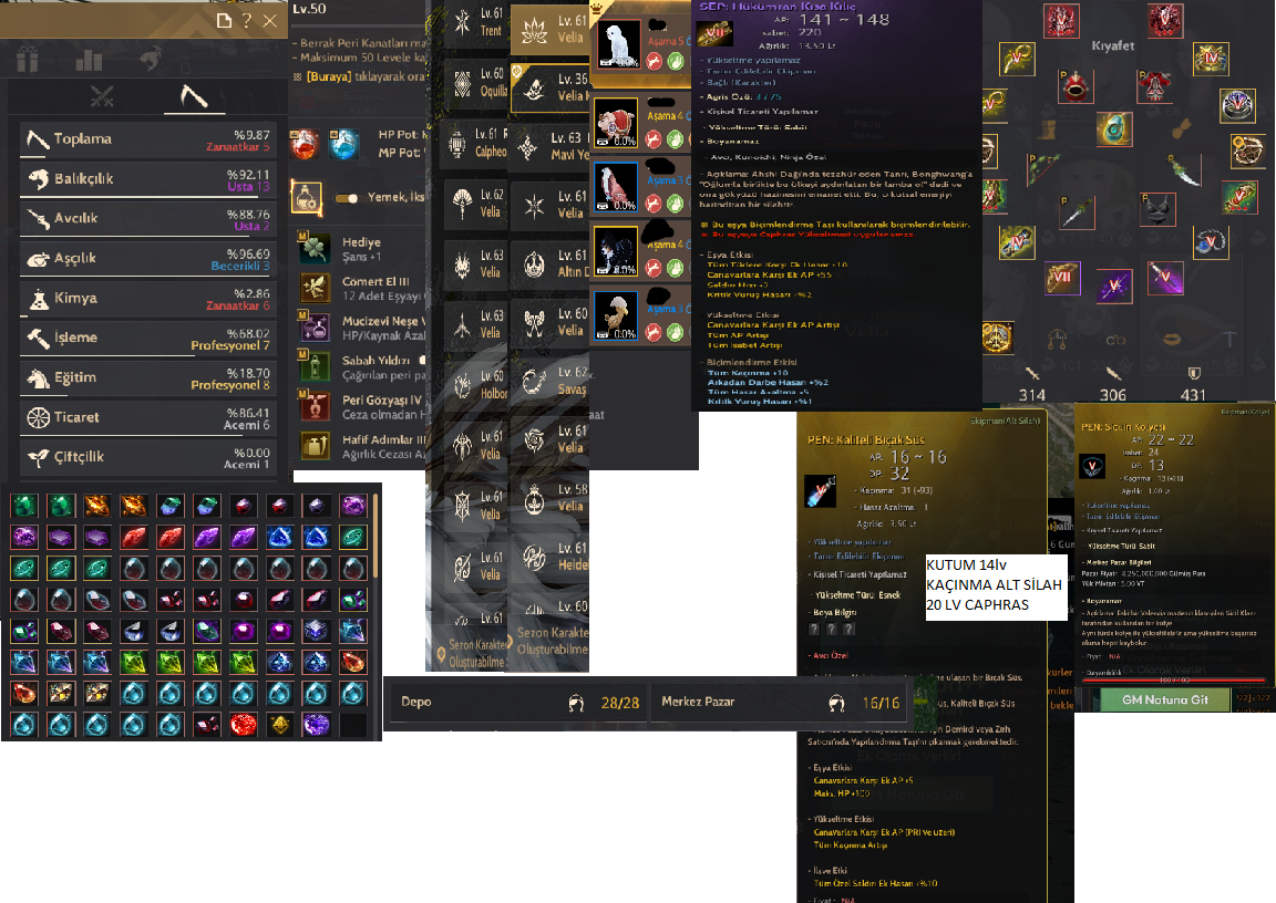 Black Desert Online Türkiye/MENA Bölgesi RANGER MAİN TAMER BAĞLI HESA