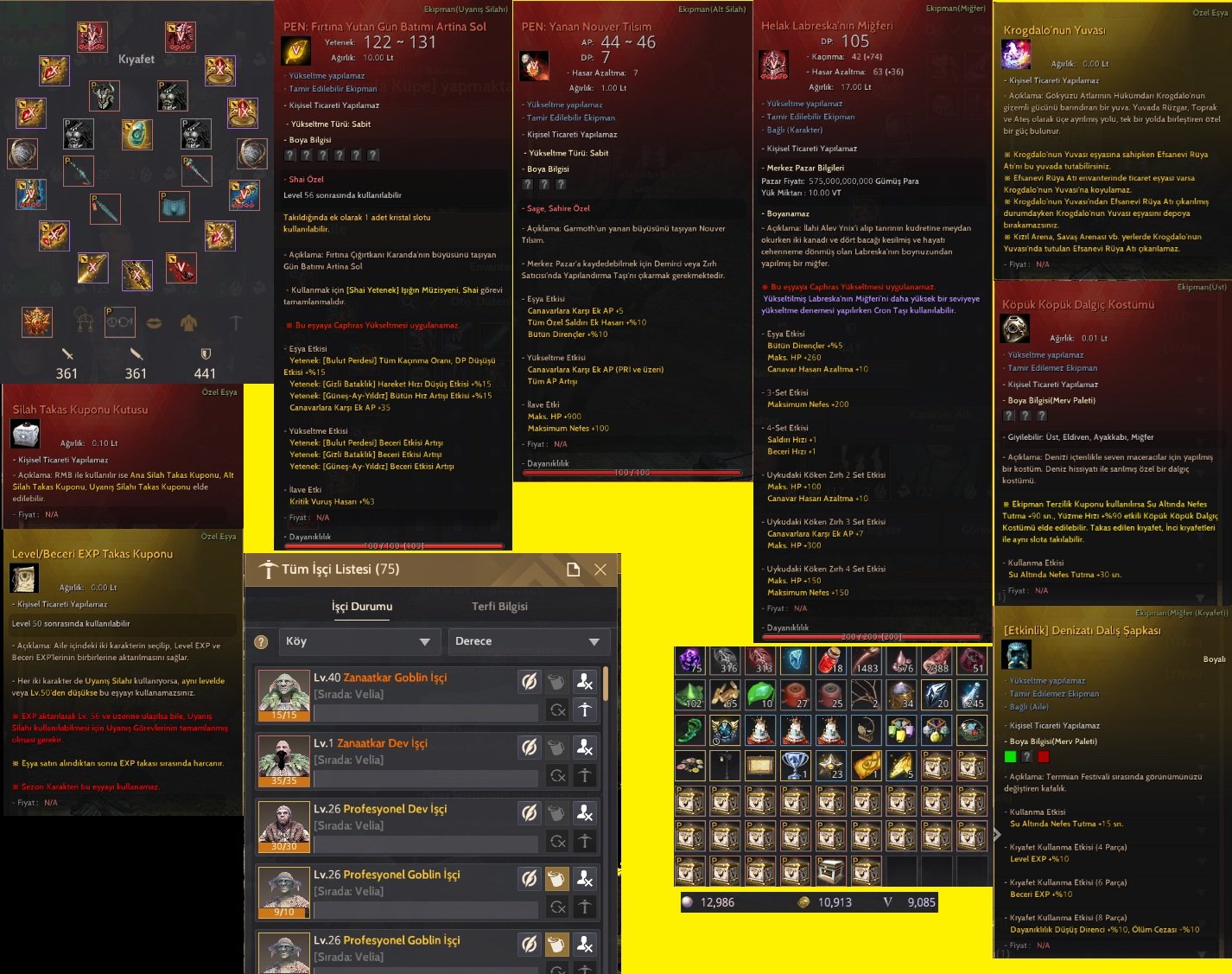 Black Desert Online Türkiye/MENA Bölgesi P2W Full 66 Lv End Game Hela