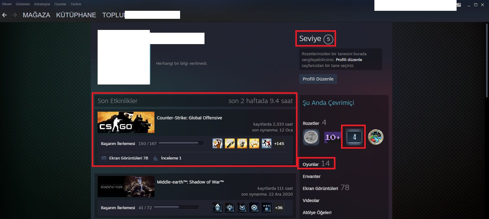 Cs Go Account Hesap 11 MAADALYALI RUSTLI 150 CS GO ENVANTERLİ 850 TL S