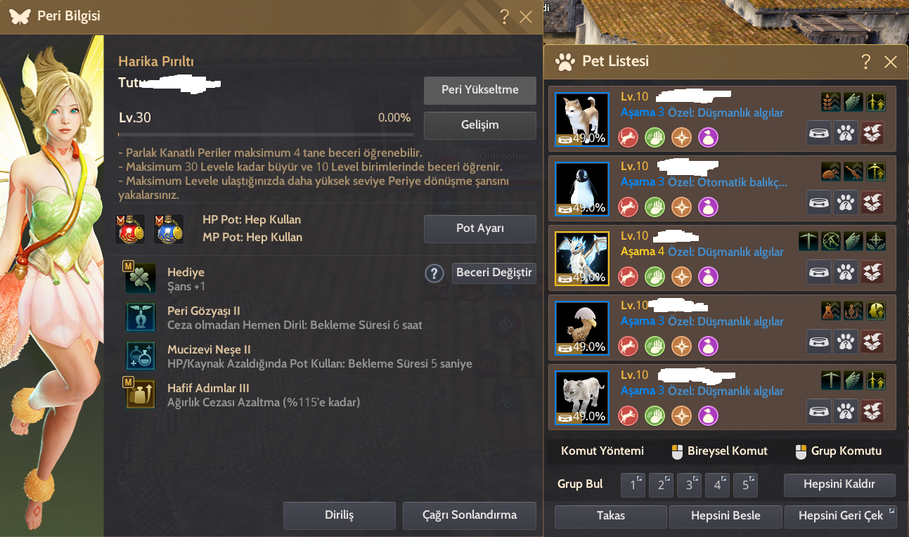 Black Desert Online Türkiye/MENA Bölgesi 265 AP KUTUM WİZARD MAİL