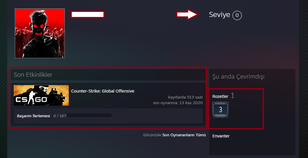 Cs Go Account Hesap 2010 KAYITLI 500 SAAT FACEIT HAZIR