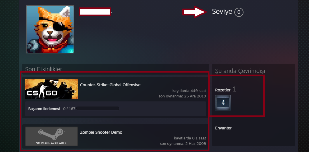Cs Go Account Hesap 2009 KAYITLI 450 SAAT FACEIT HAZIR