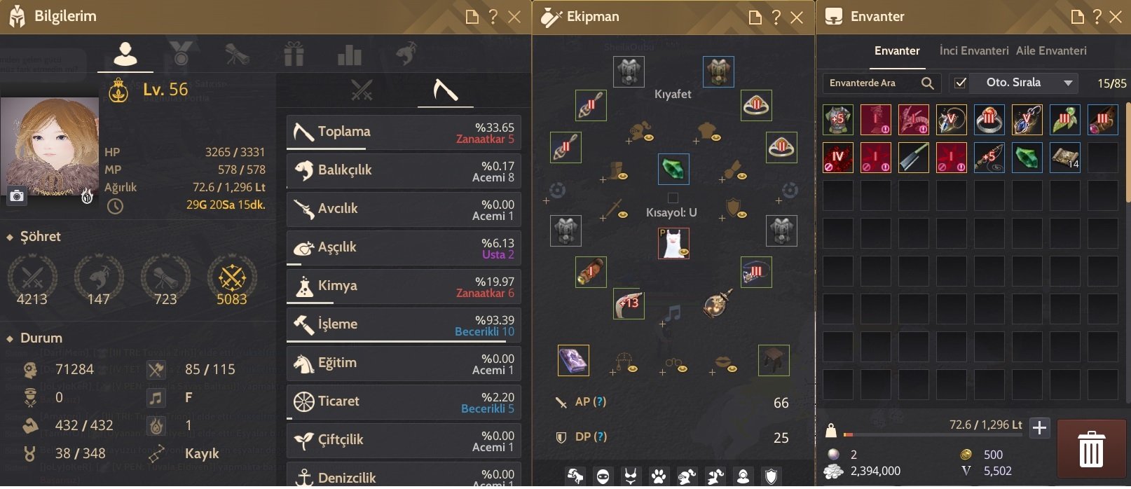 Black Desert Online Türkiye/MENA Bölgesi 65 level 313 nouver 301 kutu