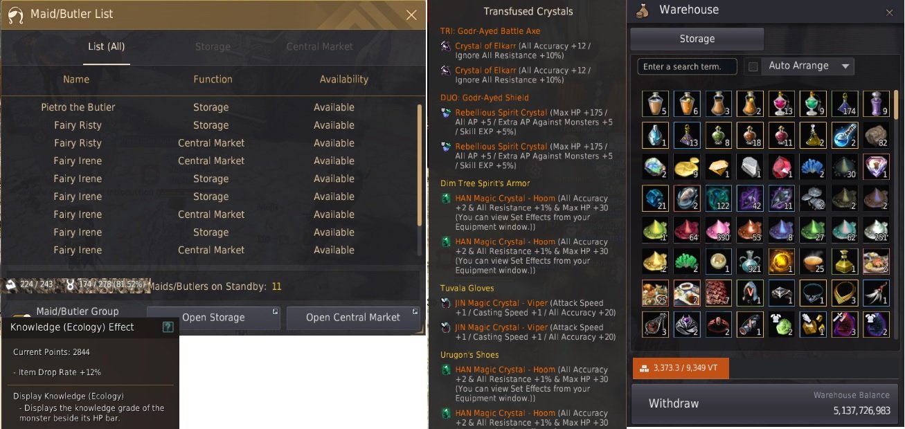 Black Desert Online Türkiye/MENA Bölgesi 62 LVL Guardian Eu