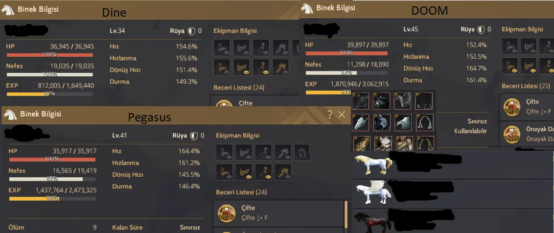 Black Desert Online Türkiye/MENA Bölgesi 65 LvL Corsair Çift pot ve C