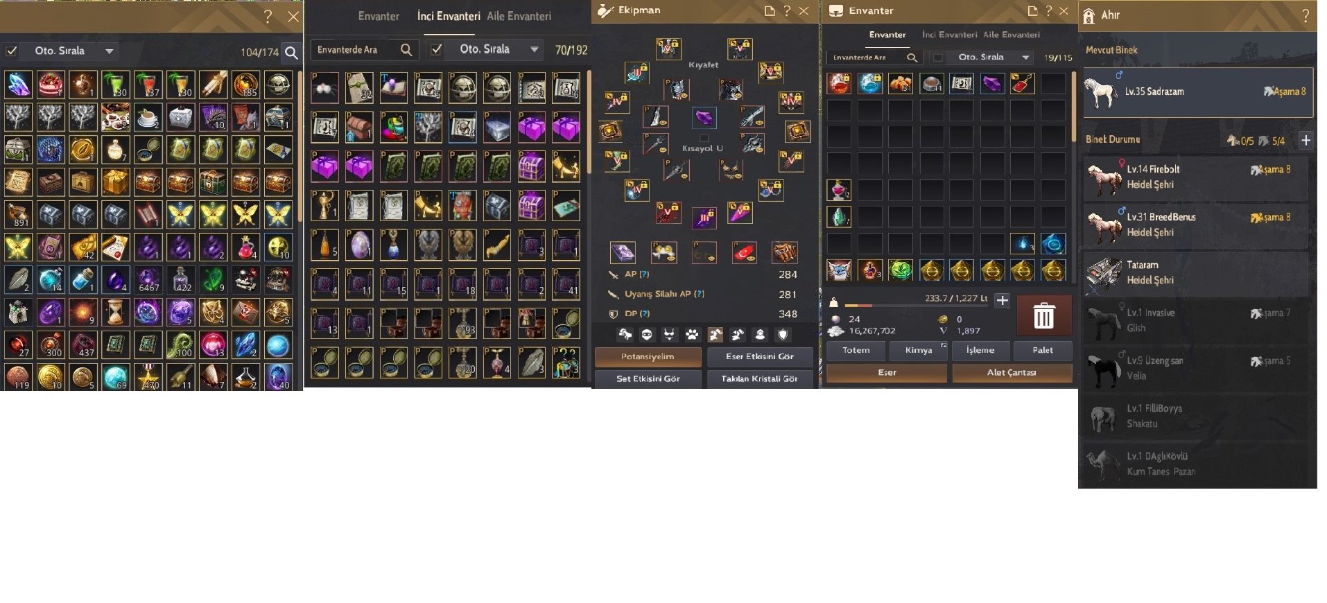 Black Desert Online Türkiye/MENA Bölgesi BDO Client Hesap HP-MP Potlu