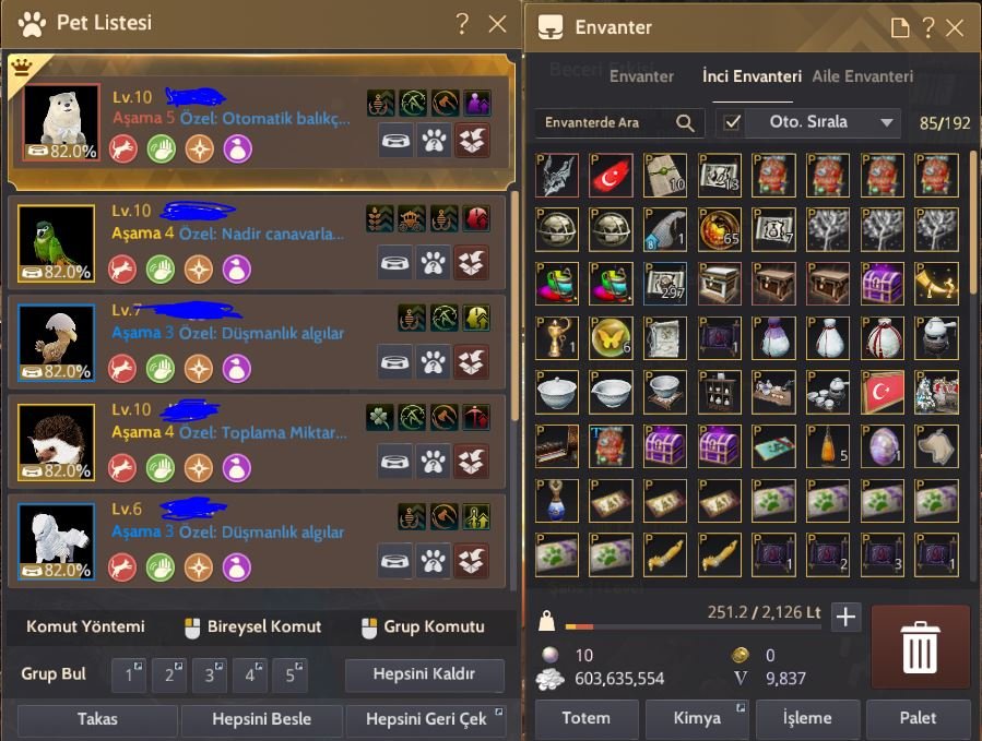 Black Desert Online Türkiye/MENA Bölgesi 61 BUYUCU 177 ENVANTER 2K AG