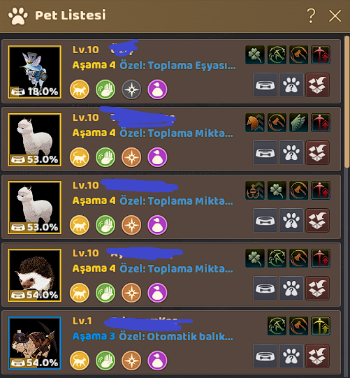 Black Desert Online Türkiye/MENA Bölgesi Life Hesabı Pen Geranoa Kol