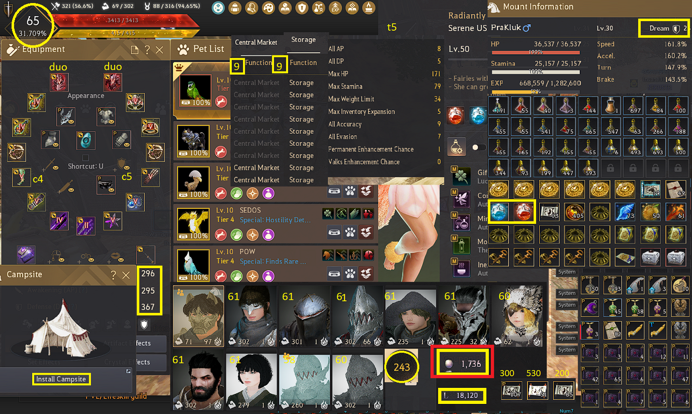 Black Desert Online Türkiye/MENA Bölgesi BDO EU 65 % 32 HP & MP PO